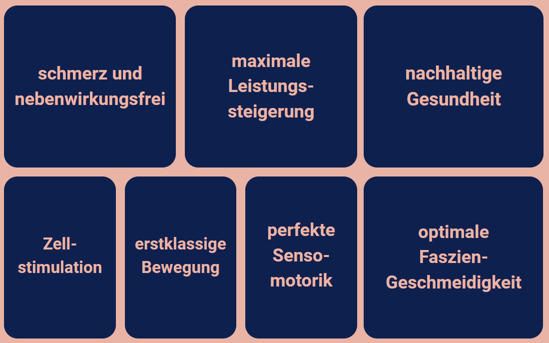 FSM Neuhoff Zellstimulation - Startseite